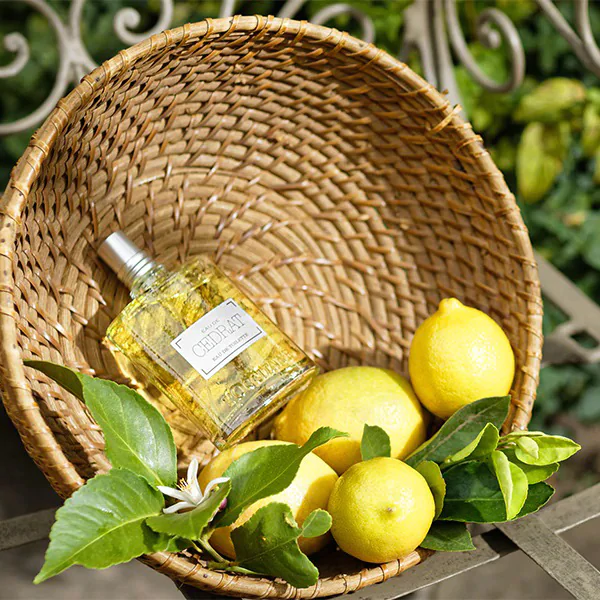 Produktlinien | Cédrat | L'Occitane